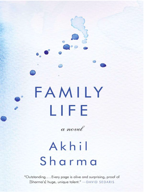 Family life: a novel – TheDaak review